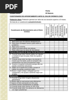 Instrument Necpal 4.0 2021 Esp | PDF | Salud pública | Medicina