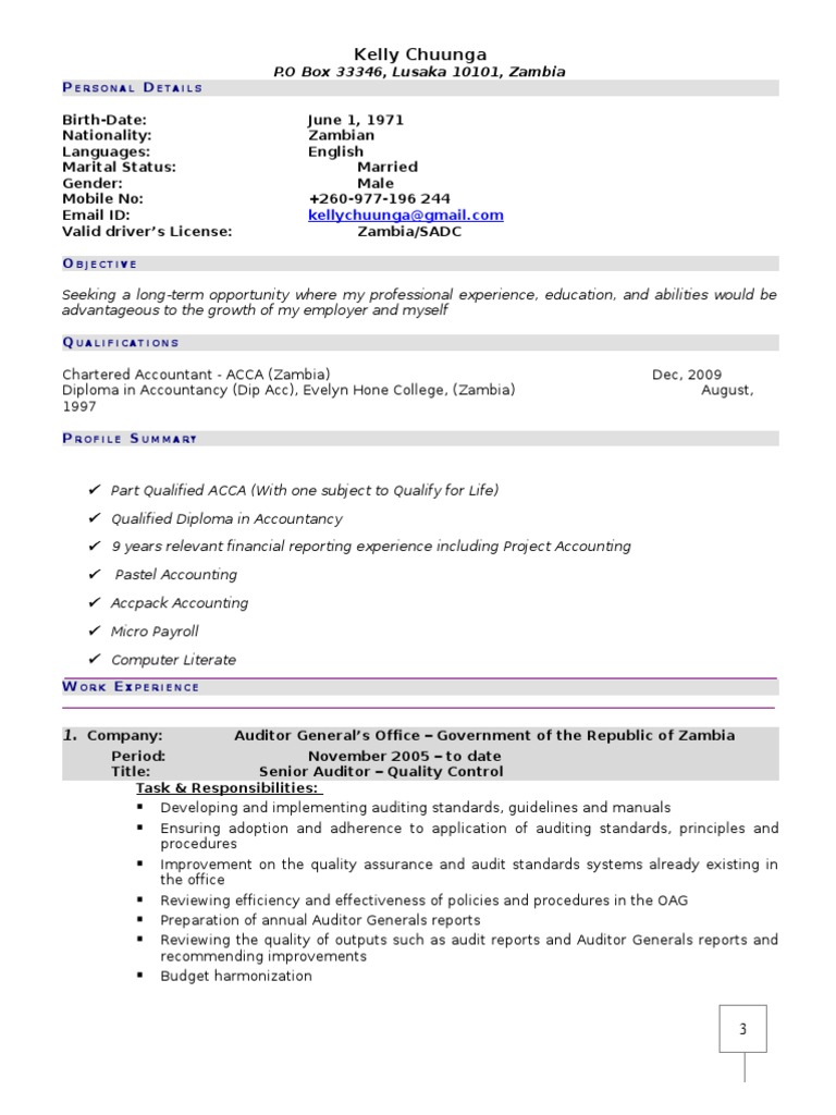 Kelly CV2009 | PDF | Zambia | Auditor's Report