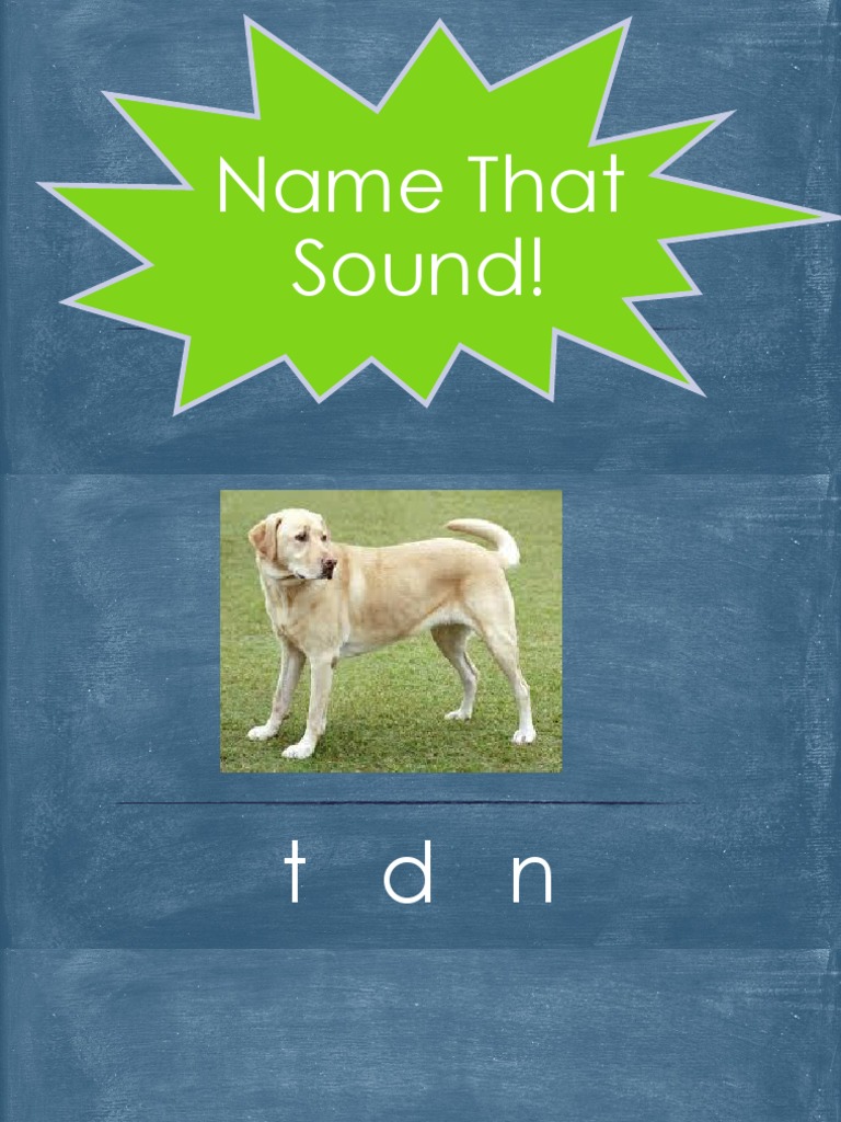 Name That Sound | PDF