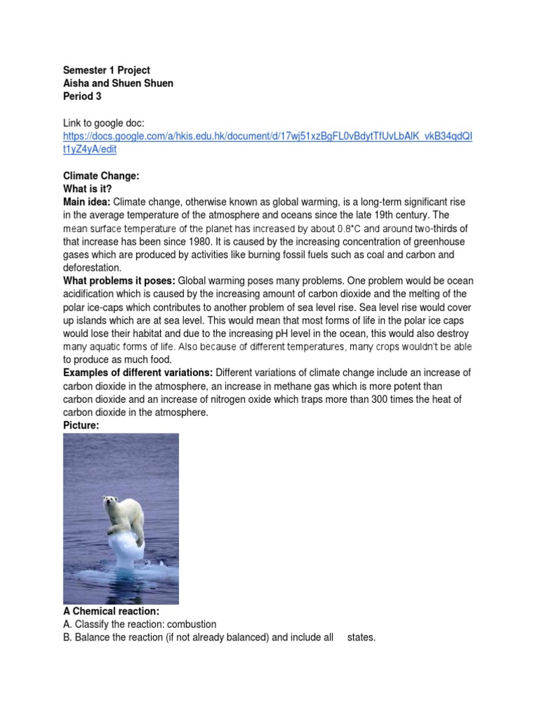 Science Project: Environmental Issues | PDF | Carbon Dioxide | Ozone ...