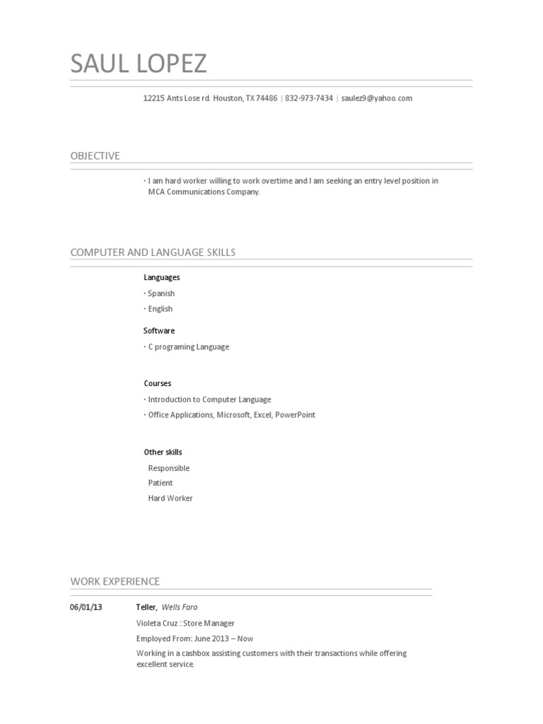 Mca Resume | PDF | Career & Growth