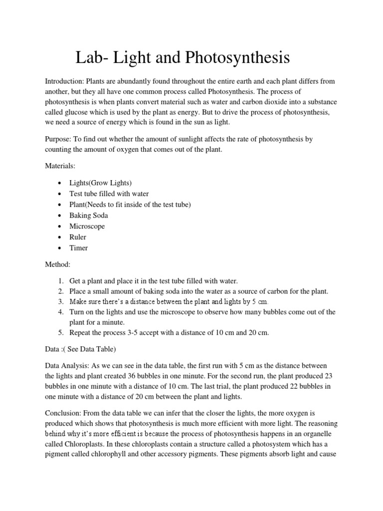 Lab Photosynthesis | PDF