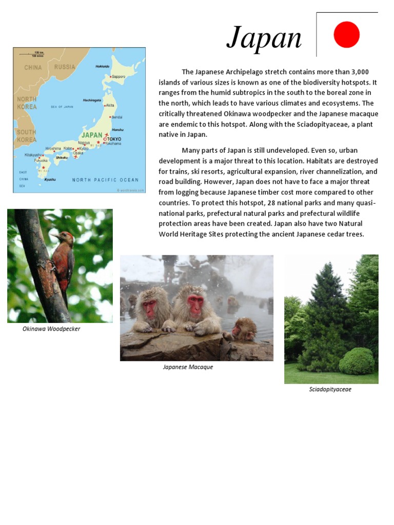 Japan's Biodiversity Hotspot Overview | PDF | Japan | Biodiversity