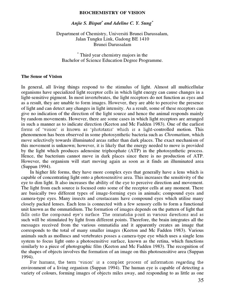 Photochemistry of Vision | PDF | Eye | Retina