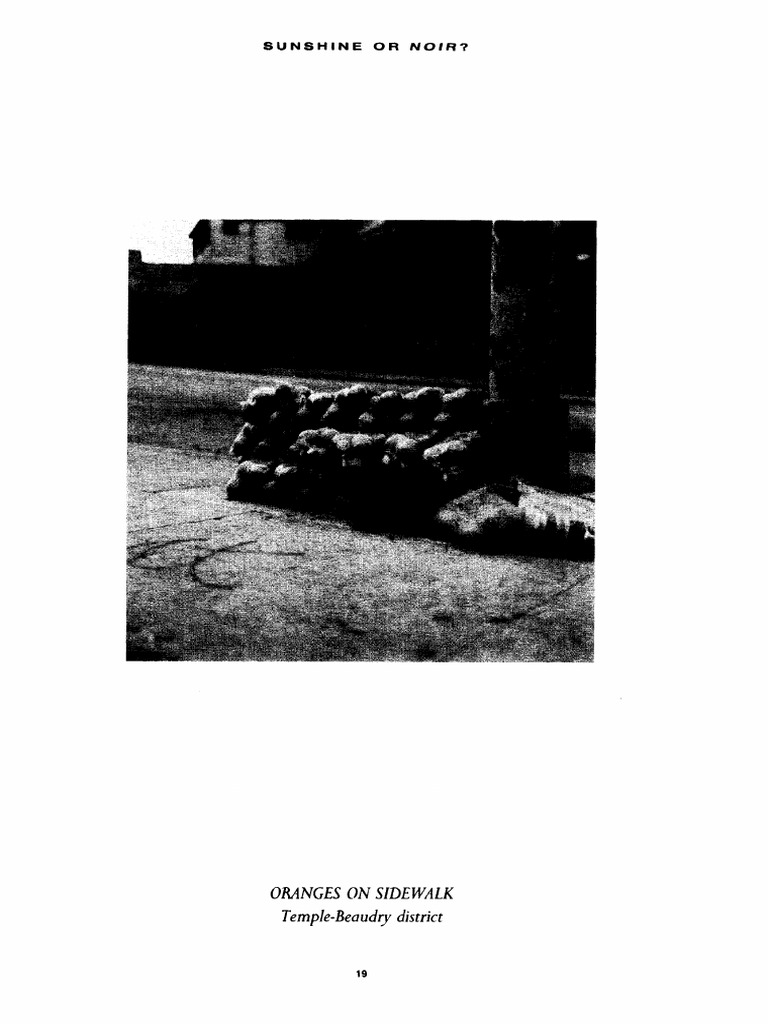 Oranges On Sidewalk Temple-Beaudry District: Sunshine or Noir? | PDF