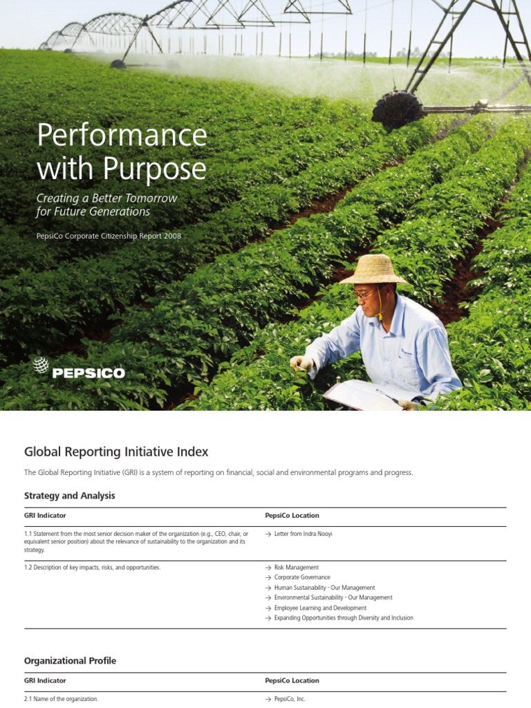 PepsiCo 2008 Sustainability Report | PDF | Pepsi Co | Sustainability