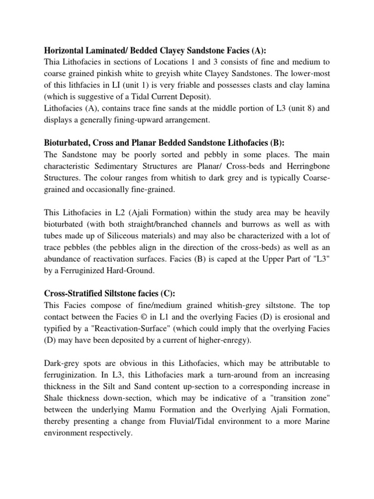 Facies Analysis | PDF | Sedimentary Rock | Sandstone