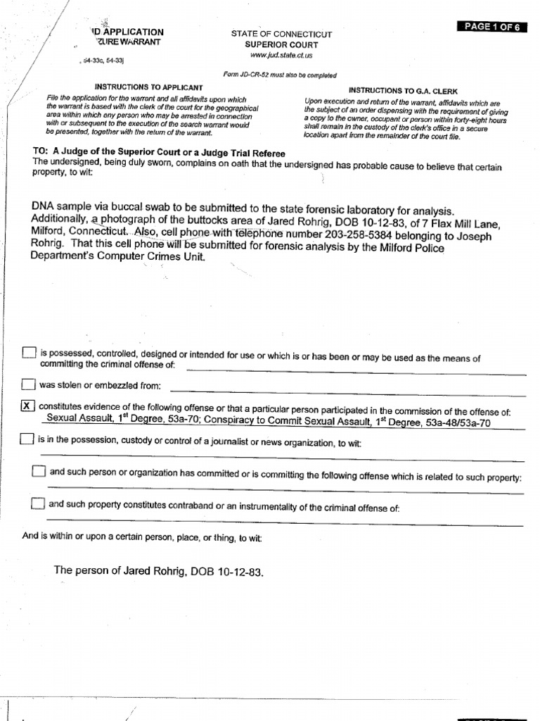 Rohrig Affidavit | PDF