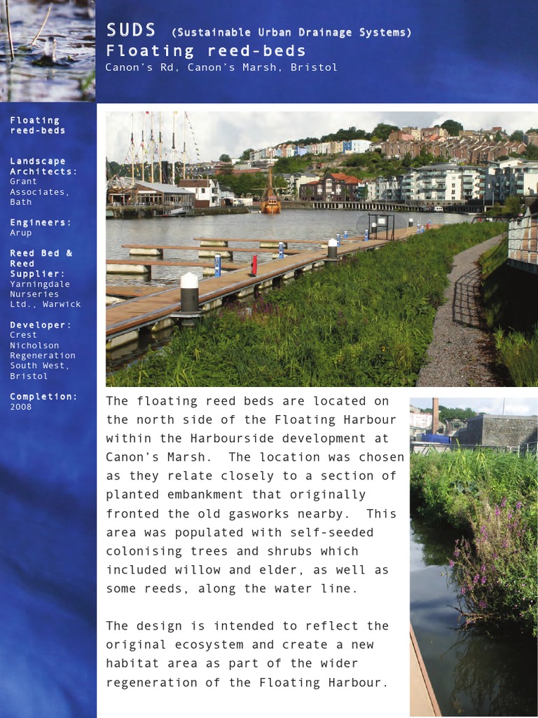 Floating Reedbeds | PDF | Horticulture And Gardening | Landscape