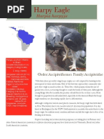 Overview of Eagle Taxonomy and Species | PDF