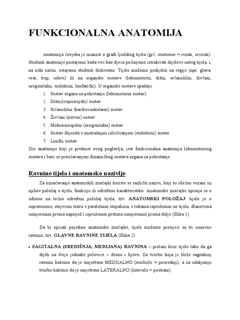 Funkcionalna Anatomija | PDF