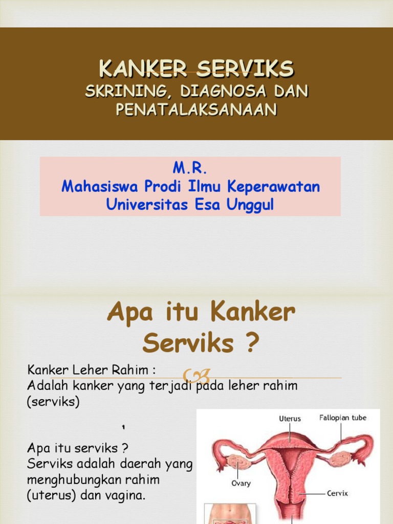 CA Serviks | PDF | Sains & Matematika
