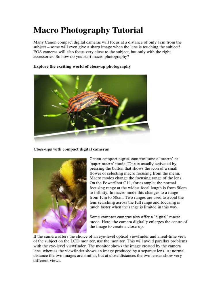 Macro Photography Tutorial | PDF | Macro Photography | Camera Lens