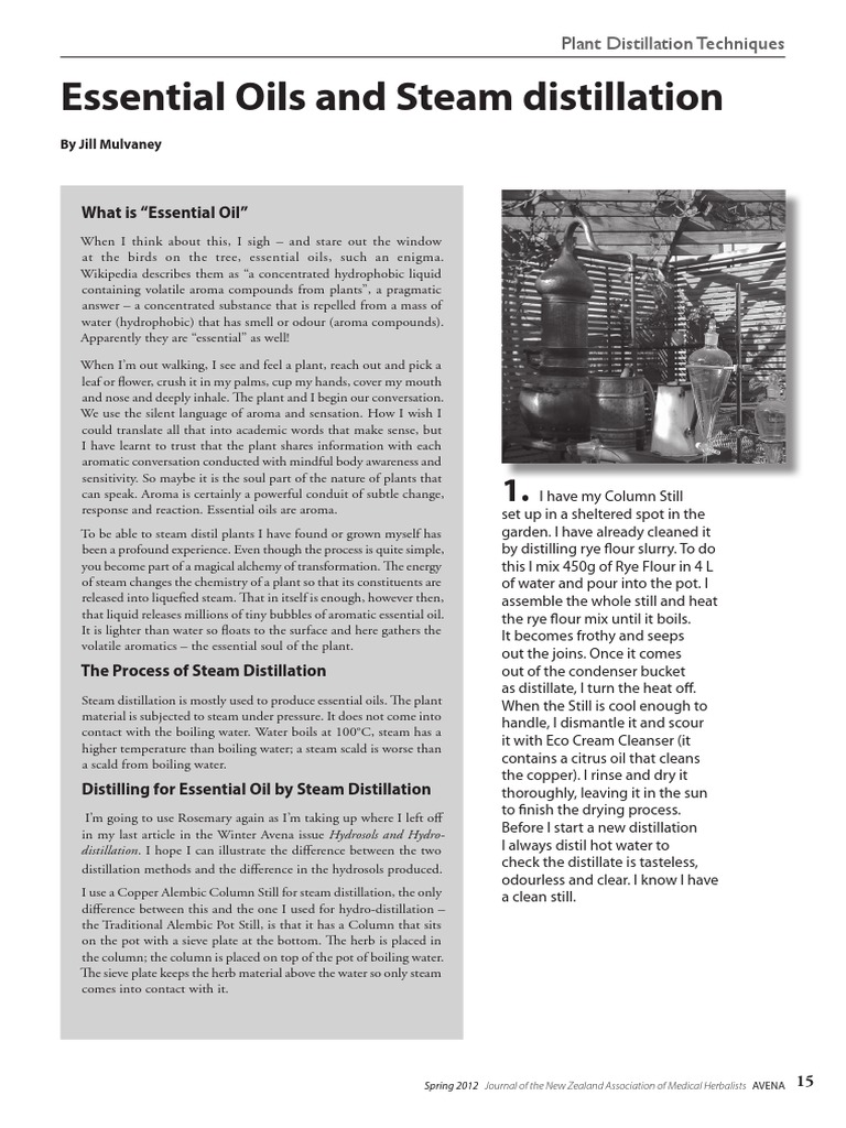 Steam Distillation for Essential Oils | PDF | Distillation | Essential Oil