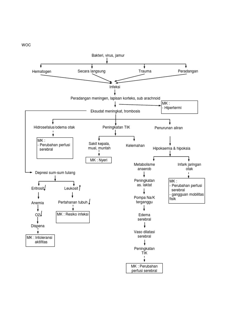 Woc Meningitis | PDF