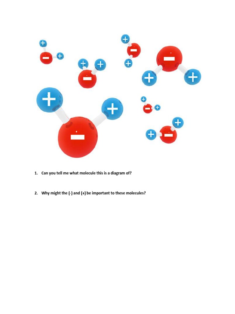 Drop of Water On Penny - Handout | PDF | Properties Of Water | Chemical ...