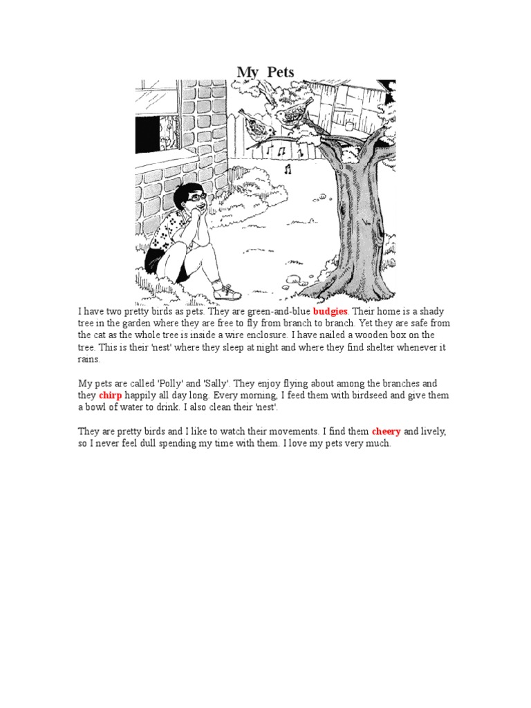 Contoh Karangan Bahasa Inggeris Simple | PDF | Bride