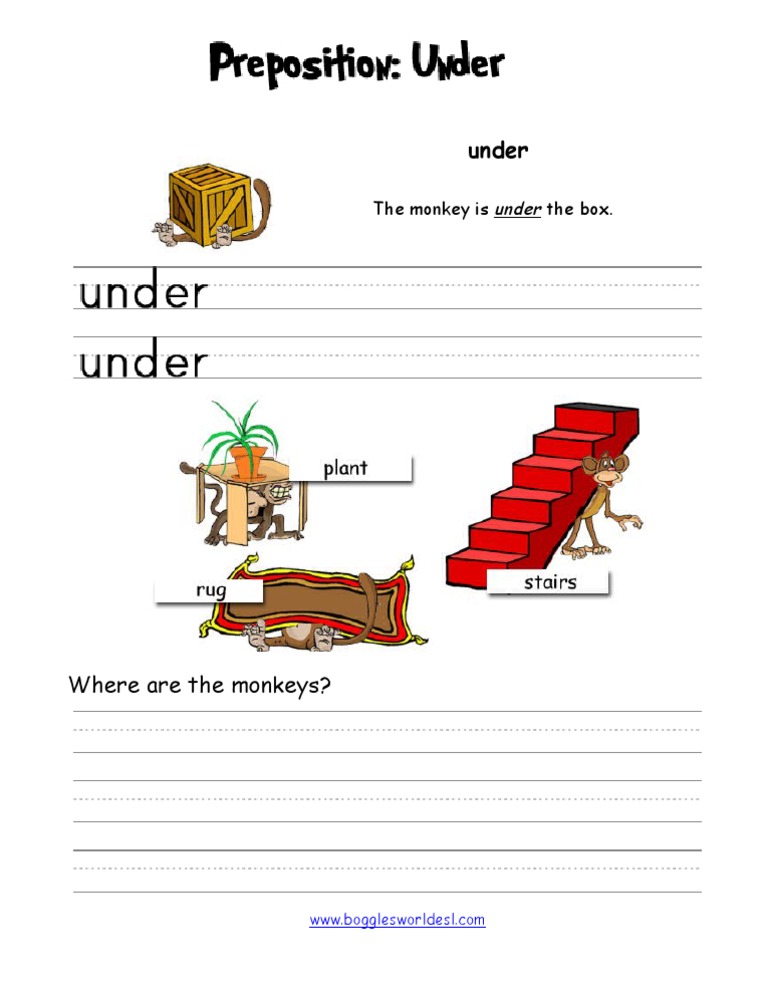 Monkeys Under the Box Explained | PDF