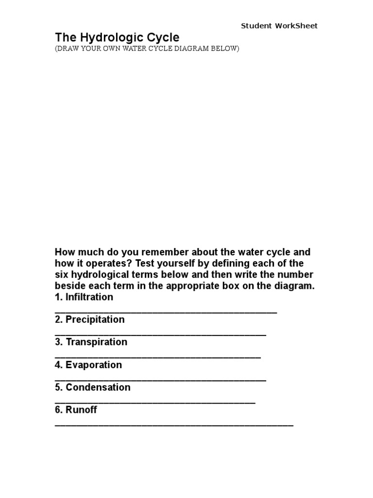 Water Cycle Student WorkSheet | PDF | Water Cycle | Precipitation