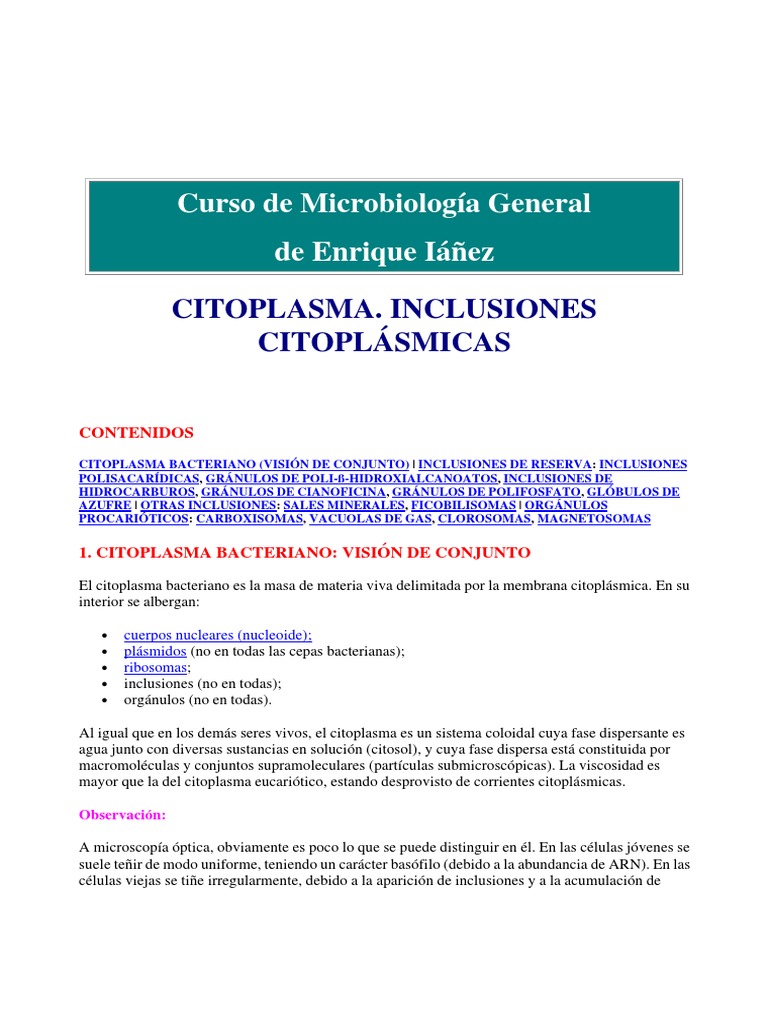 Inclusiones Citoplasmaticas PDF | PDF | Citoplasma | Glucógeno
