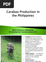 Chapter 2 RRL of Piggery | PDF | Agriculture | Pig