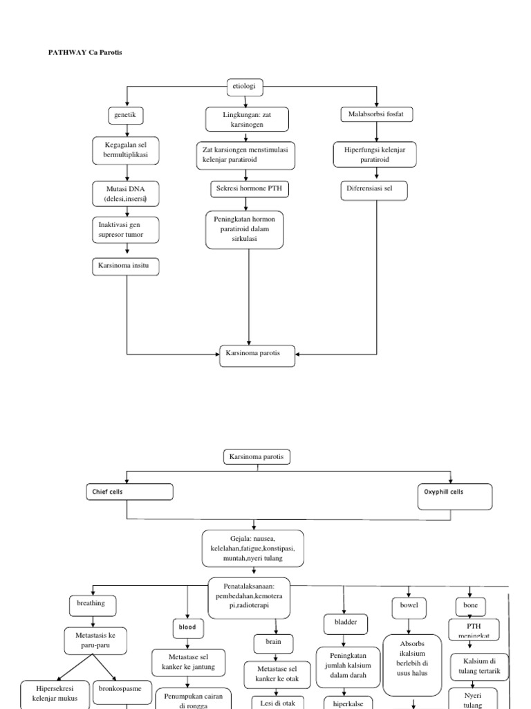 Pathway Karsinoma Parotis dan Gejala | PDF