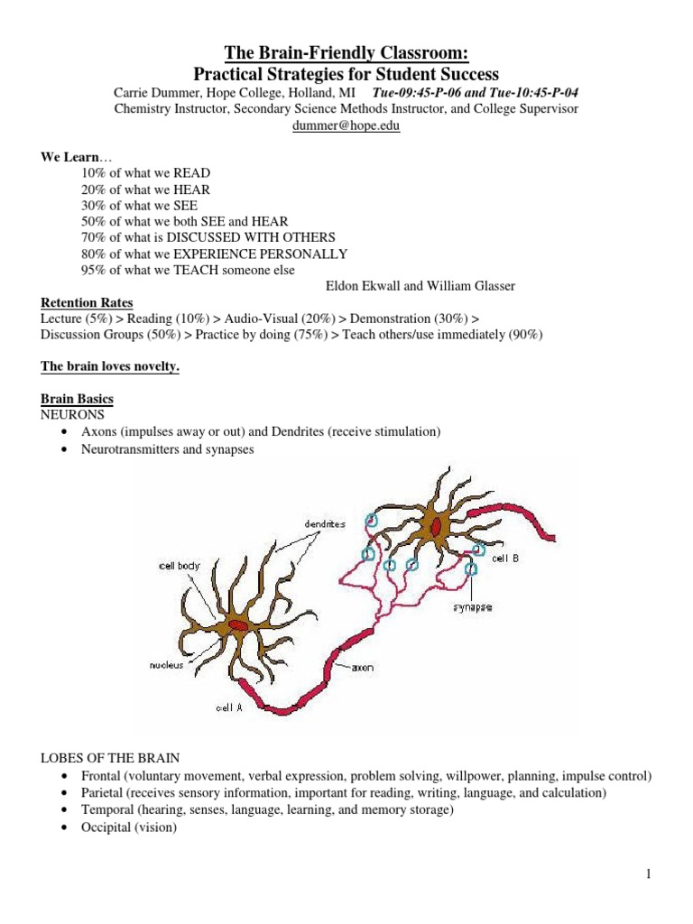 The Brain-Friendly Classroom: Practical Strategies For Student Success | Download Free PDF ...