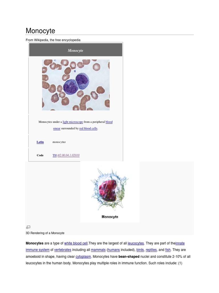 Monocytes Wikipedia | Monocyte | Immunology
