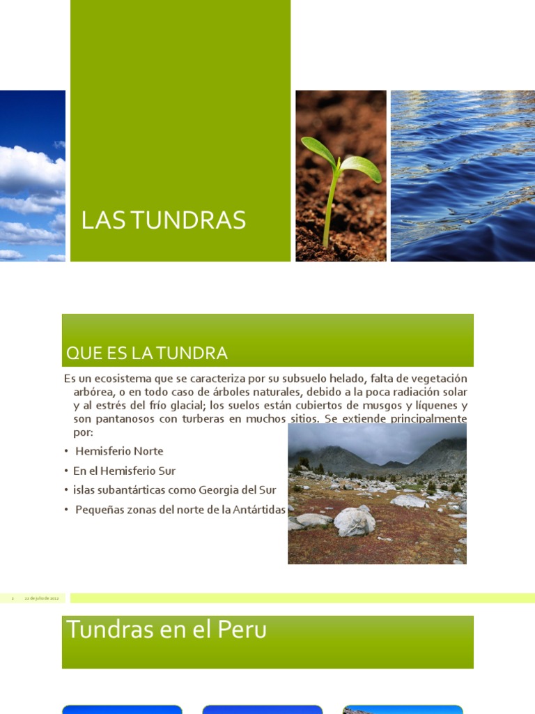 Hoja De Trabajo Sobre La Tundra