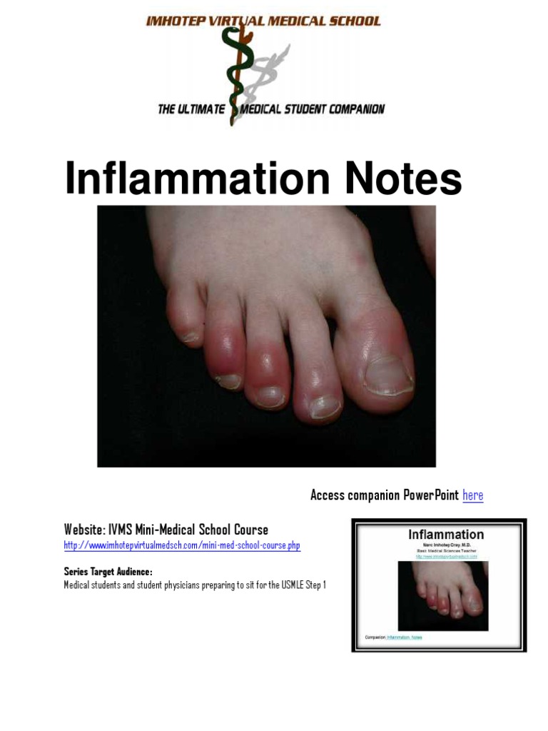 IVMS - General Pathology, Inflammation Notes | PDF | Interleukin 6 ...