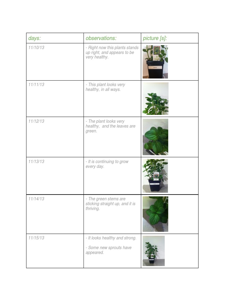Plant Growth Observation Log | PDF
