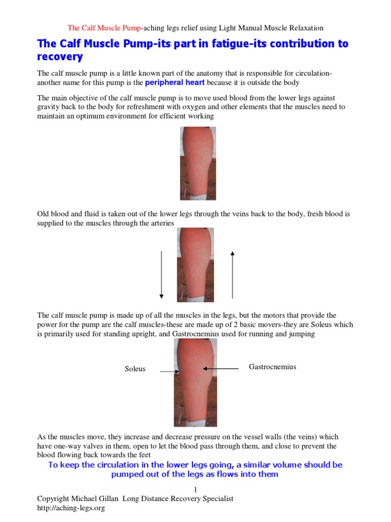 The Calf Muscle Pump-Its Importance in Leg Circulation | Circulatory ...