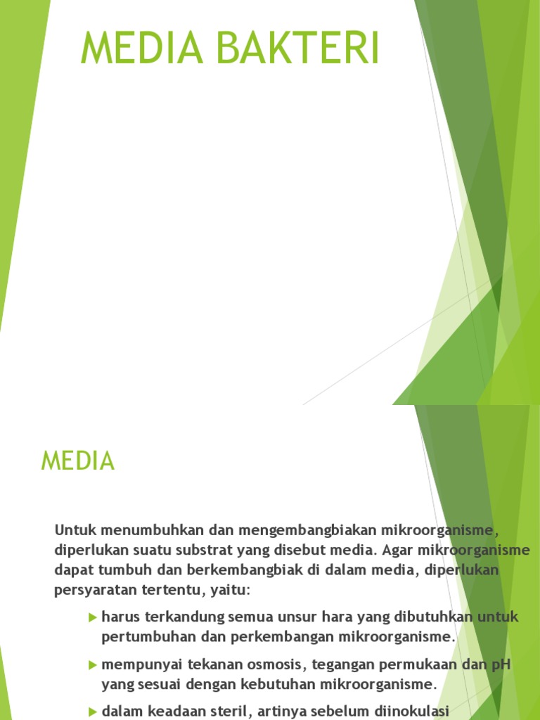 Media Bakteri