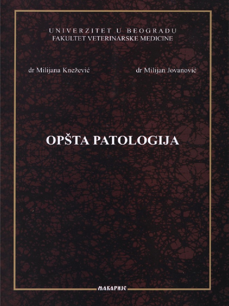 Opsta | PDF