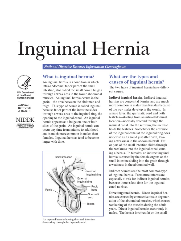 Inguinal Hernia | PDF | Surgery | Abdomen
