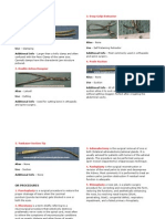 Drug Study Nubain | PDF