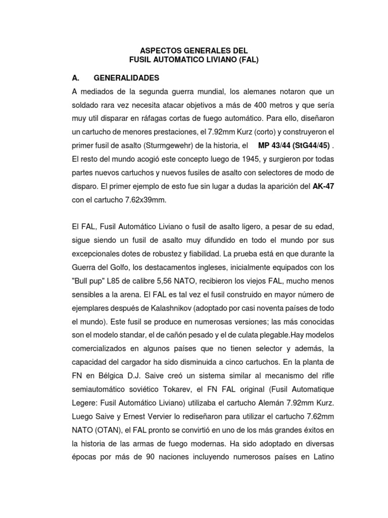 Armamento Individual | PDF | Rifle | Revista (armas de fuego)