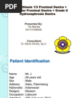 Illness Script - Template | PDF | Medicine | Diseases And Disorders
