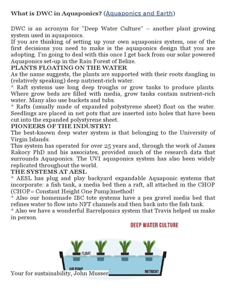 Understanding DWC in Aquaponics | PDF
