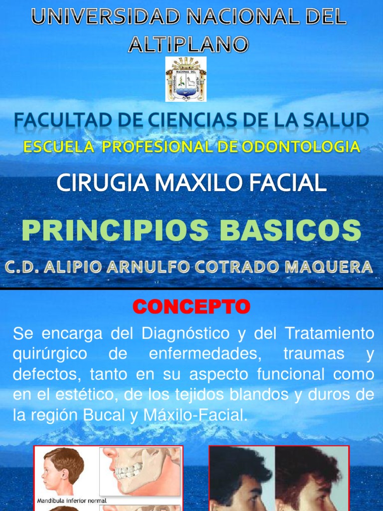 Tratamiento del Surco Mentolabial | PDF | Diente humano | Homo