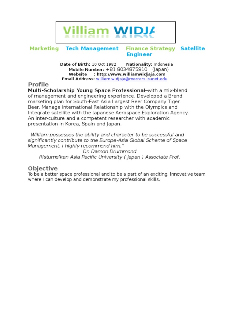 William Widjaja CV 2007 | PDF | Computers | Technology & Engineering