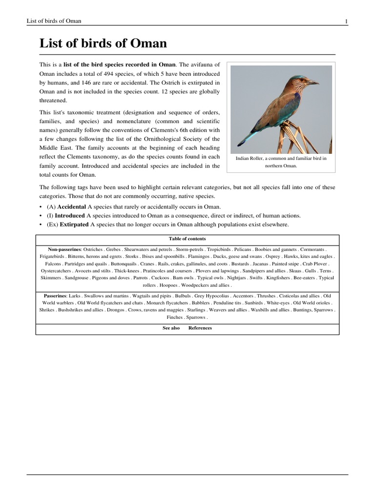 List of Birds of Oman | PDF | Gull | Owl