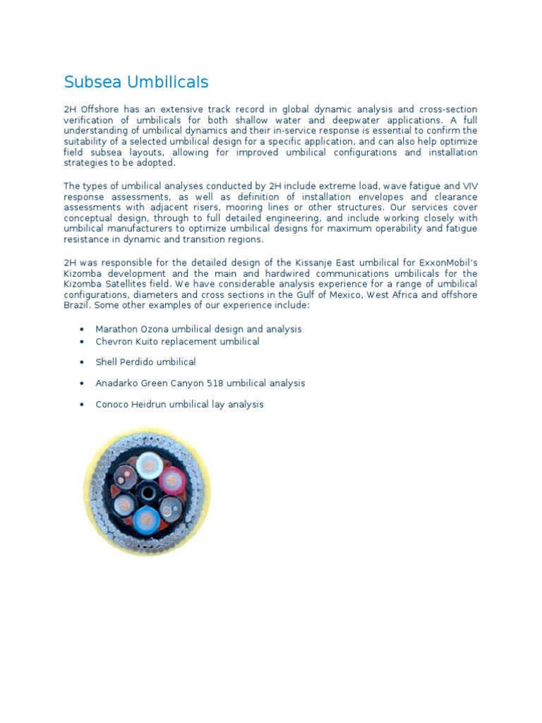 Subsea Umbilicals | PDF