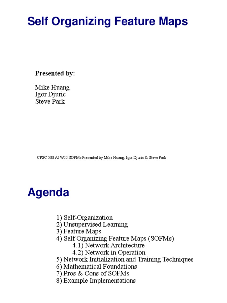 Self Organizing Feature Maps: Presented by | PDF | Self Organization ...