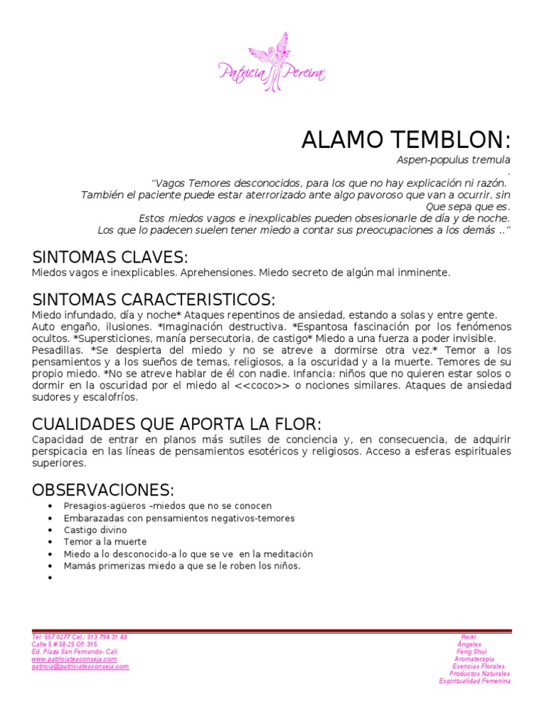 Alamo Temblon | PDF | Artes del Lenguaje y Comunicación | Relaciones ...