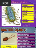 Sketchy Microbiology 1 | PDF | Gram Negative Bacteria | Bacteria