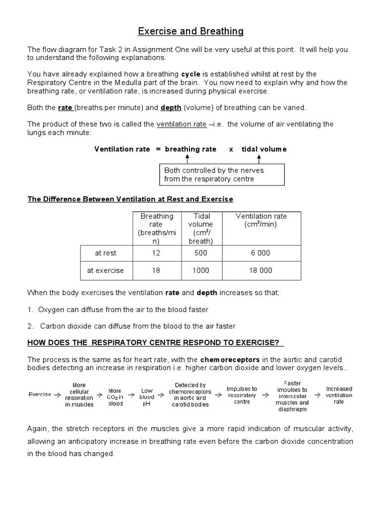Exercise and Breathing | PDF