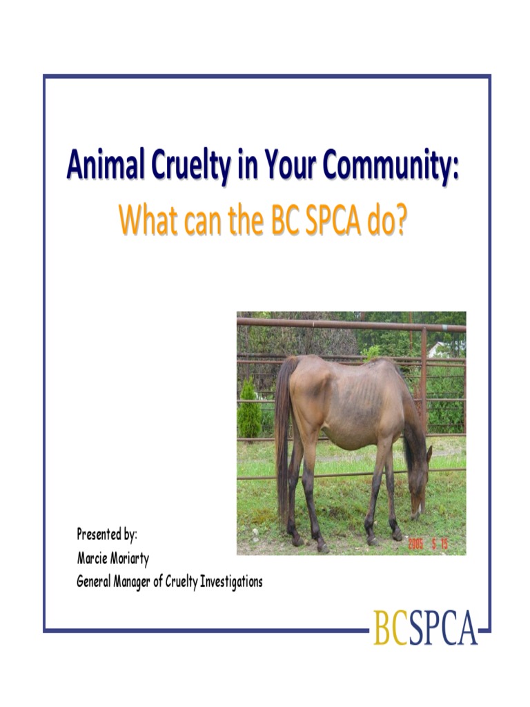 BC Spca Overview of A Cruelty | PDF | Fine (Penalty) | Child Custody