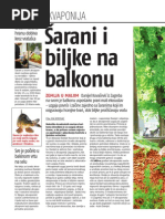 Razmnožavanje Tuje | PDF