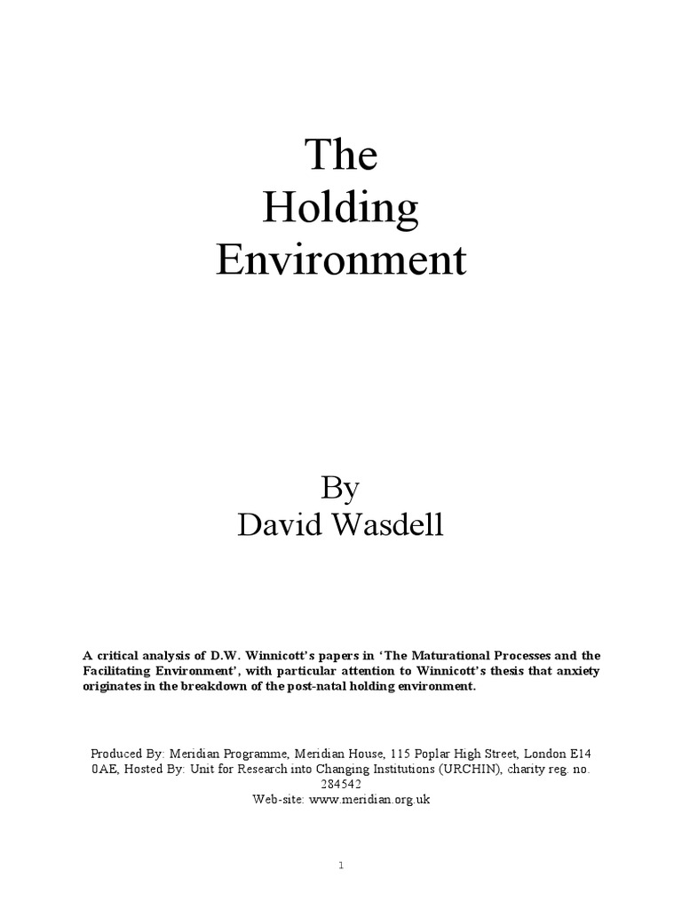 The Holding Environment | PDF | Psychoanalysis | Psychosis